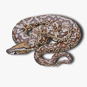 3D How To Convert Image Into Text Format Using Python Real-Time Models ...