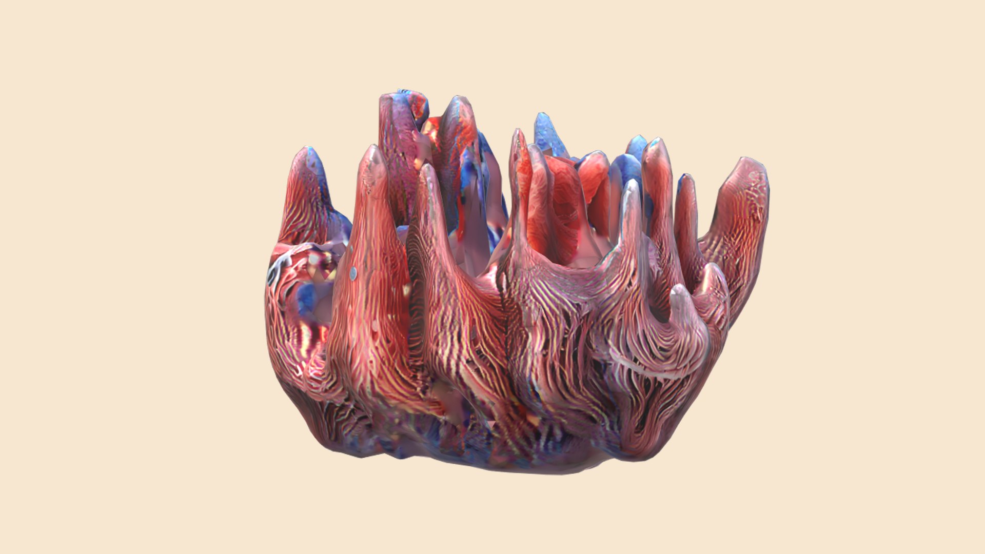 3d Model Coral Turbosquid 2144337