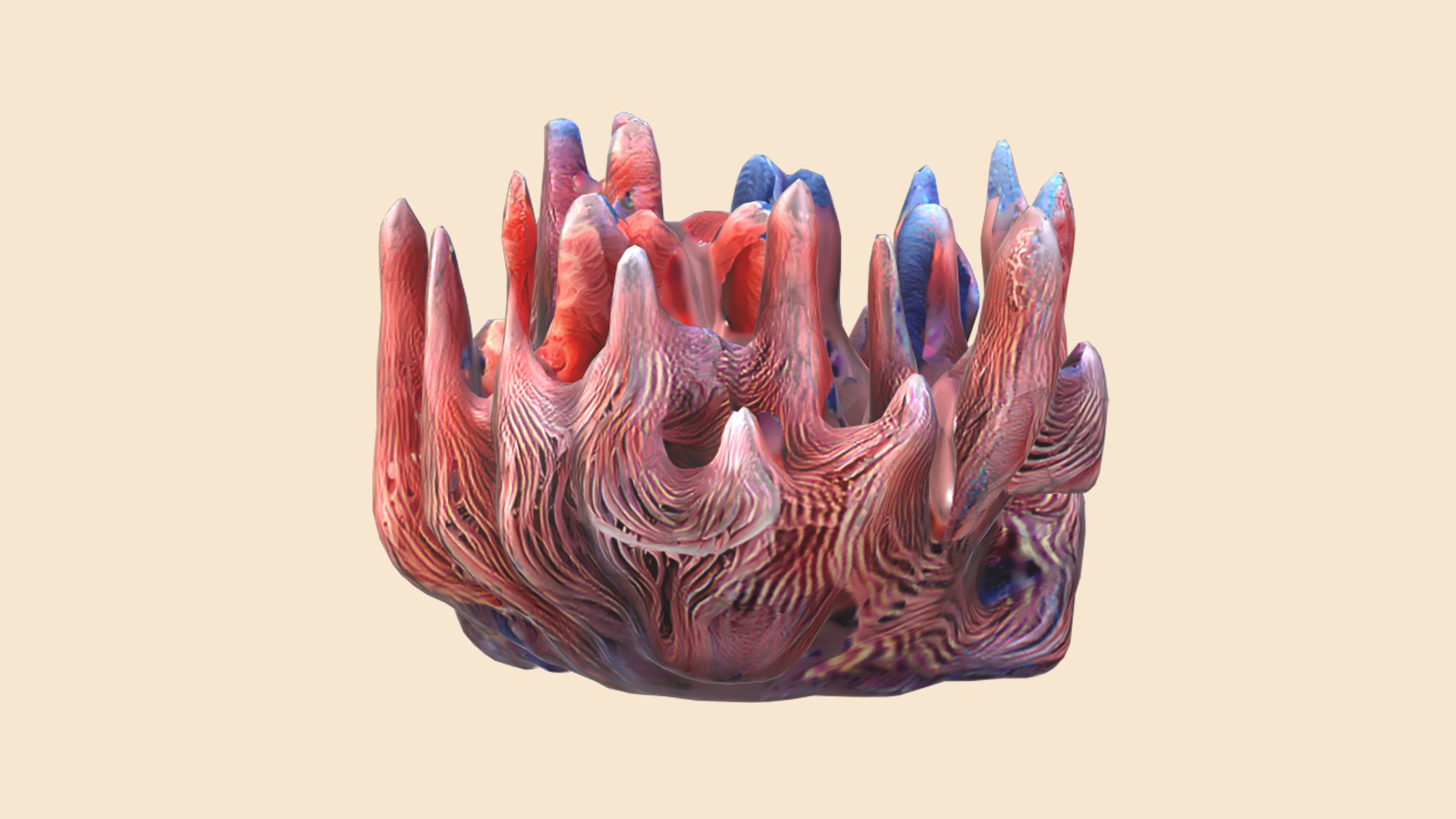 3d Model Coral Turbosquid 2144337