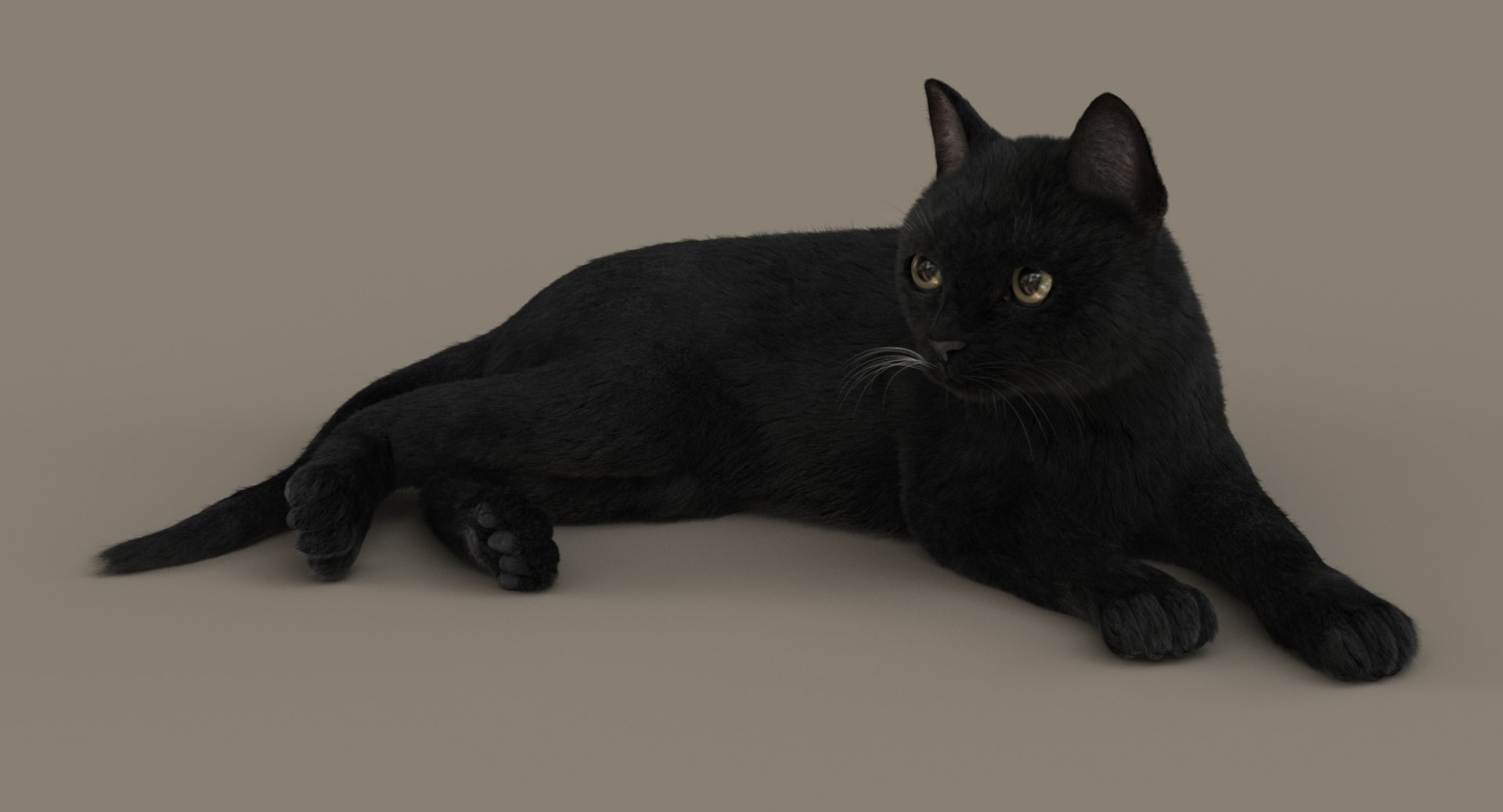 3D Rigged Cats Fur Model - TurboSquid 1307799