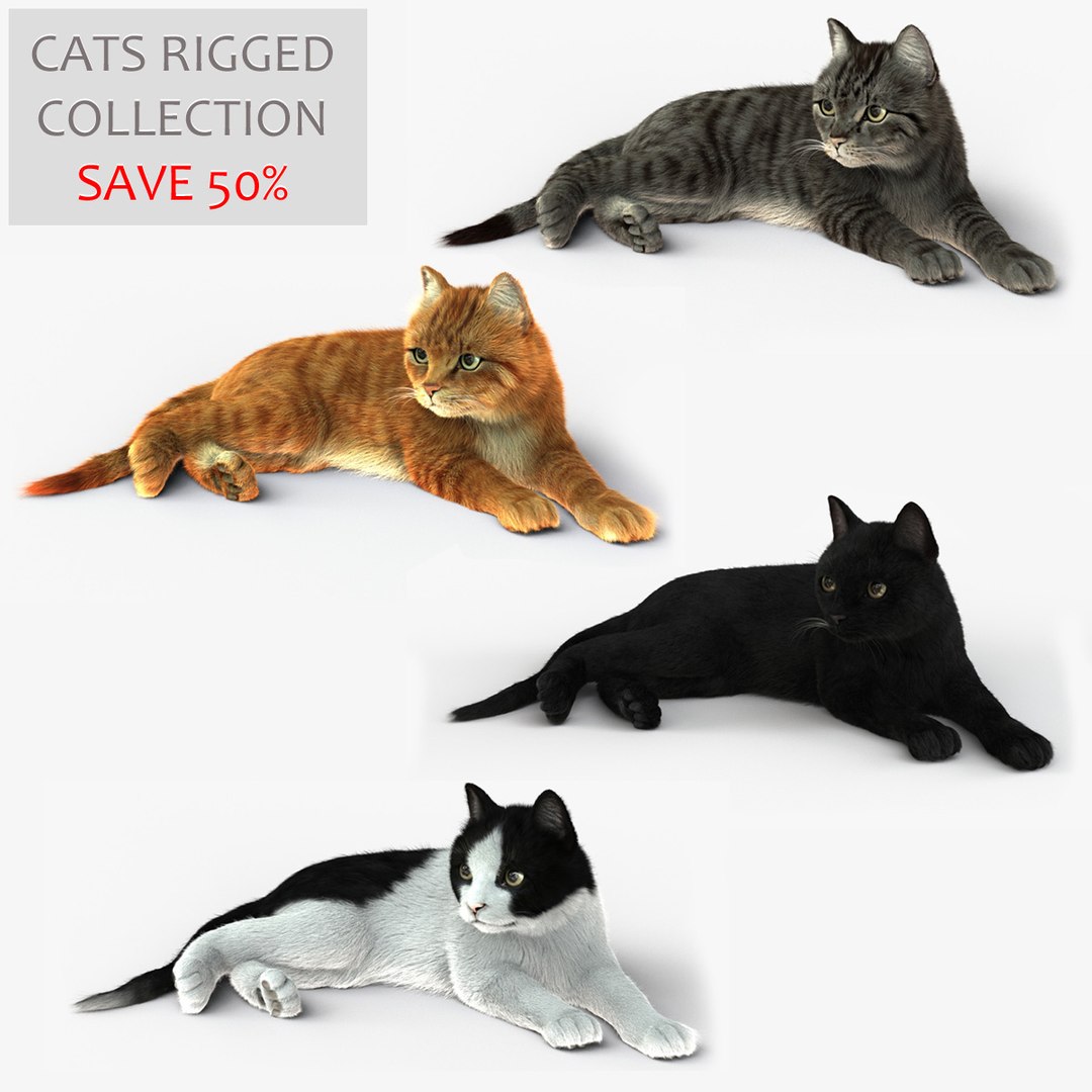 3D Rigged Cats Fur Model - TurboSquid 1307799