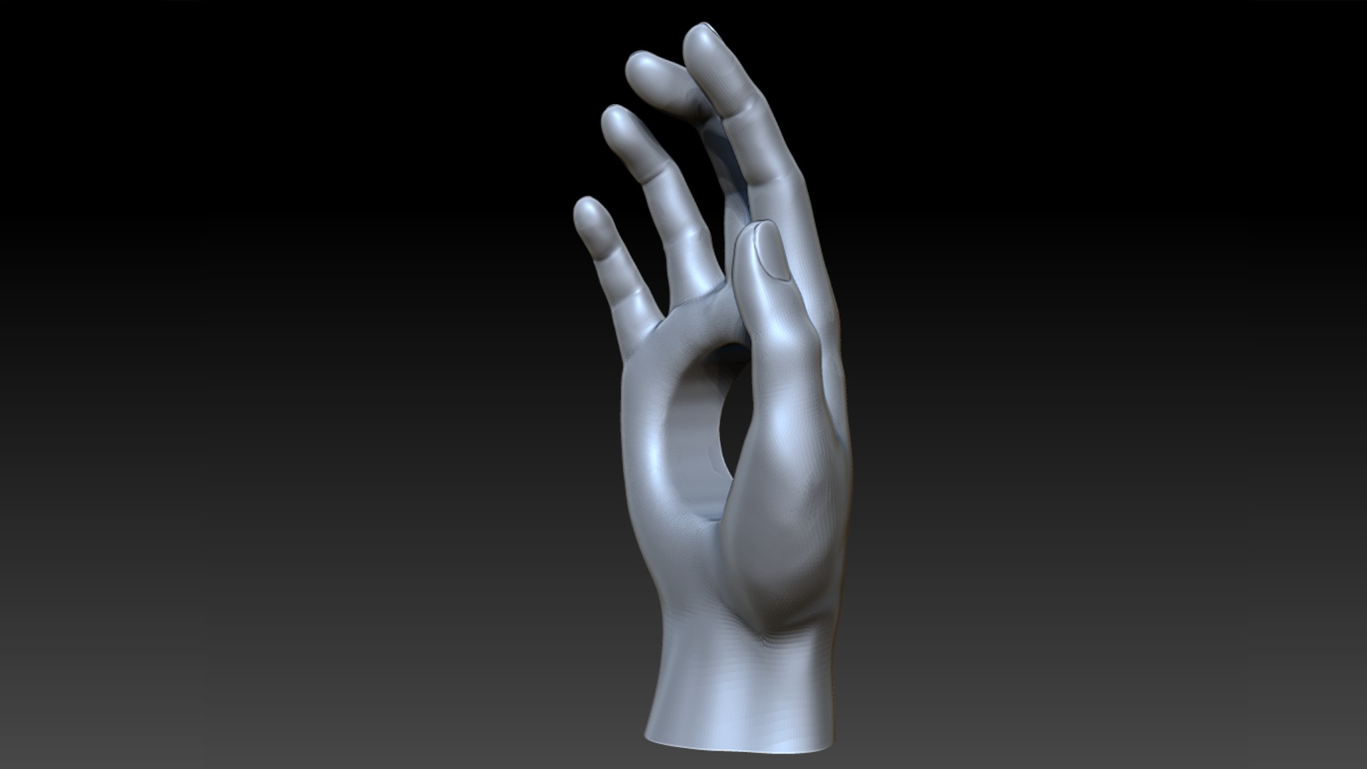 3D Model Hand With Hole - TurboSquid 2212344