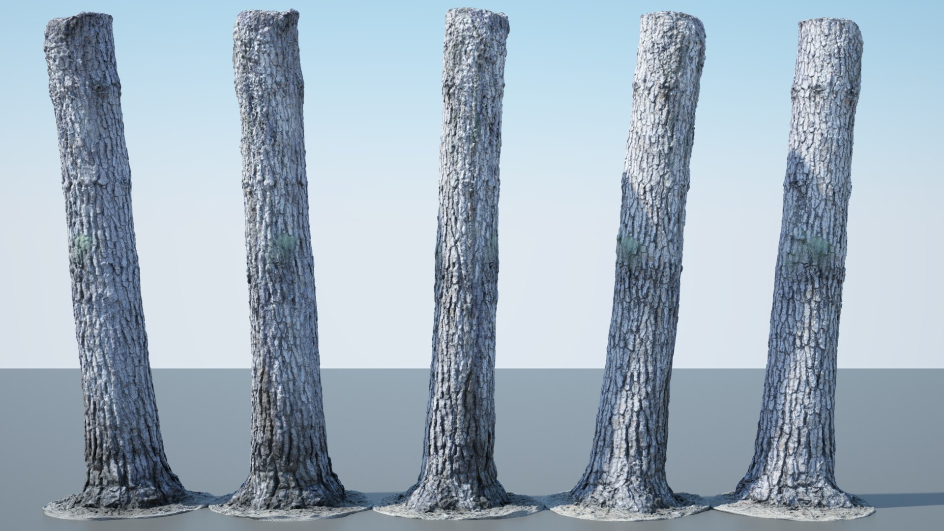 Tree trunk - 3D model - TurboSquid 1446402