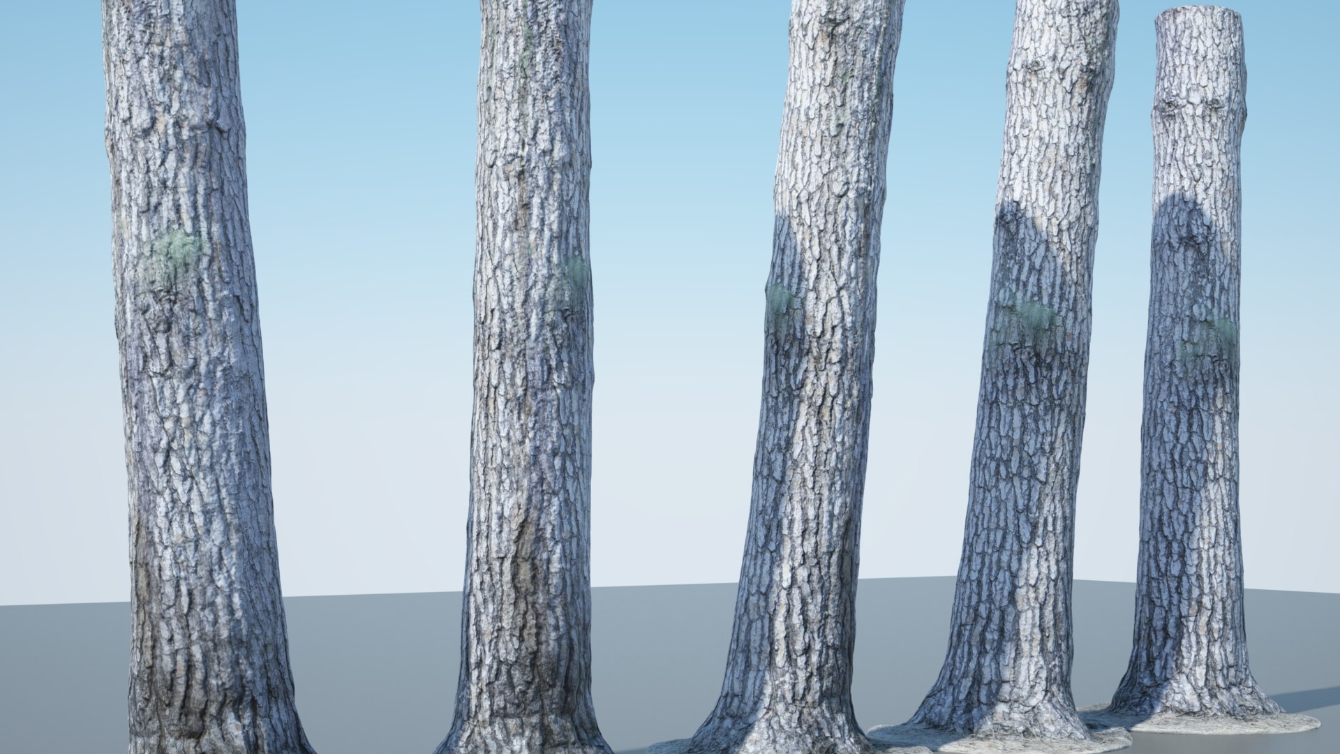 Tree trunk - 3D model - TurboSquid 1446402