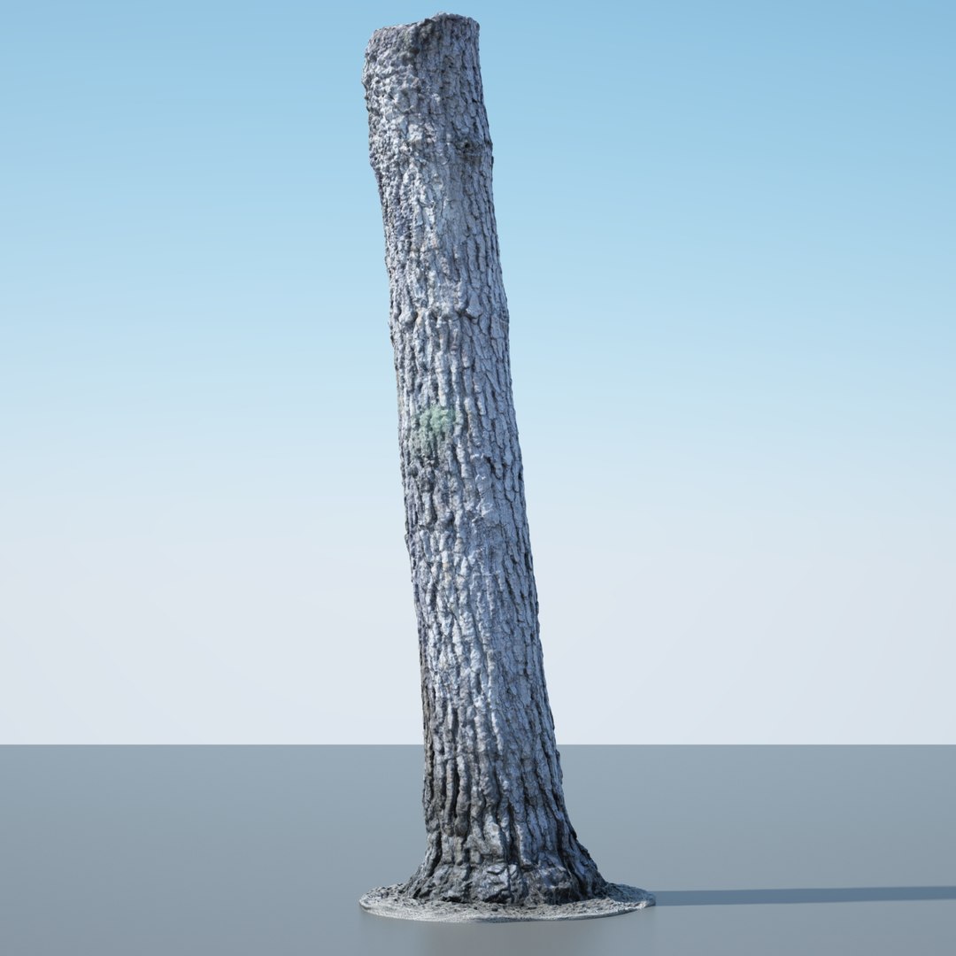 Tree trunk - 3D model - TurboSquid 1446402