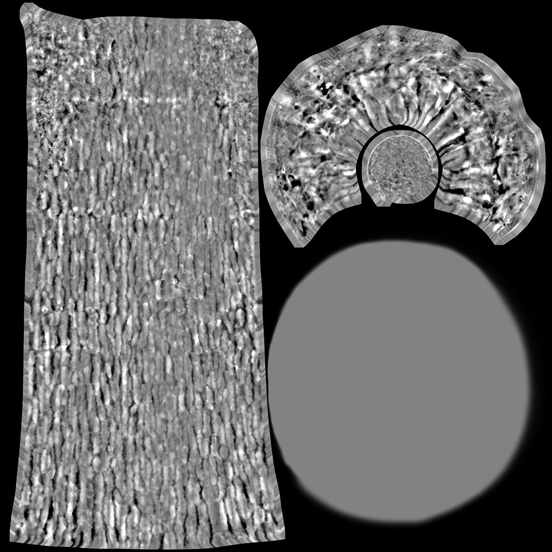 Tree trunk - 3D model - TurboSquid 1446402