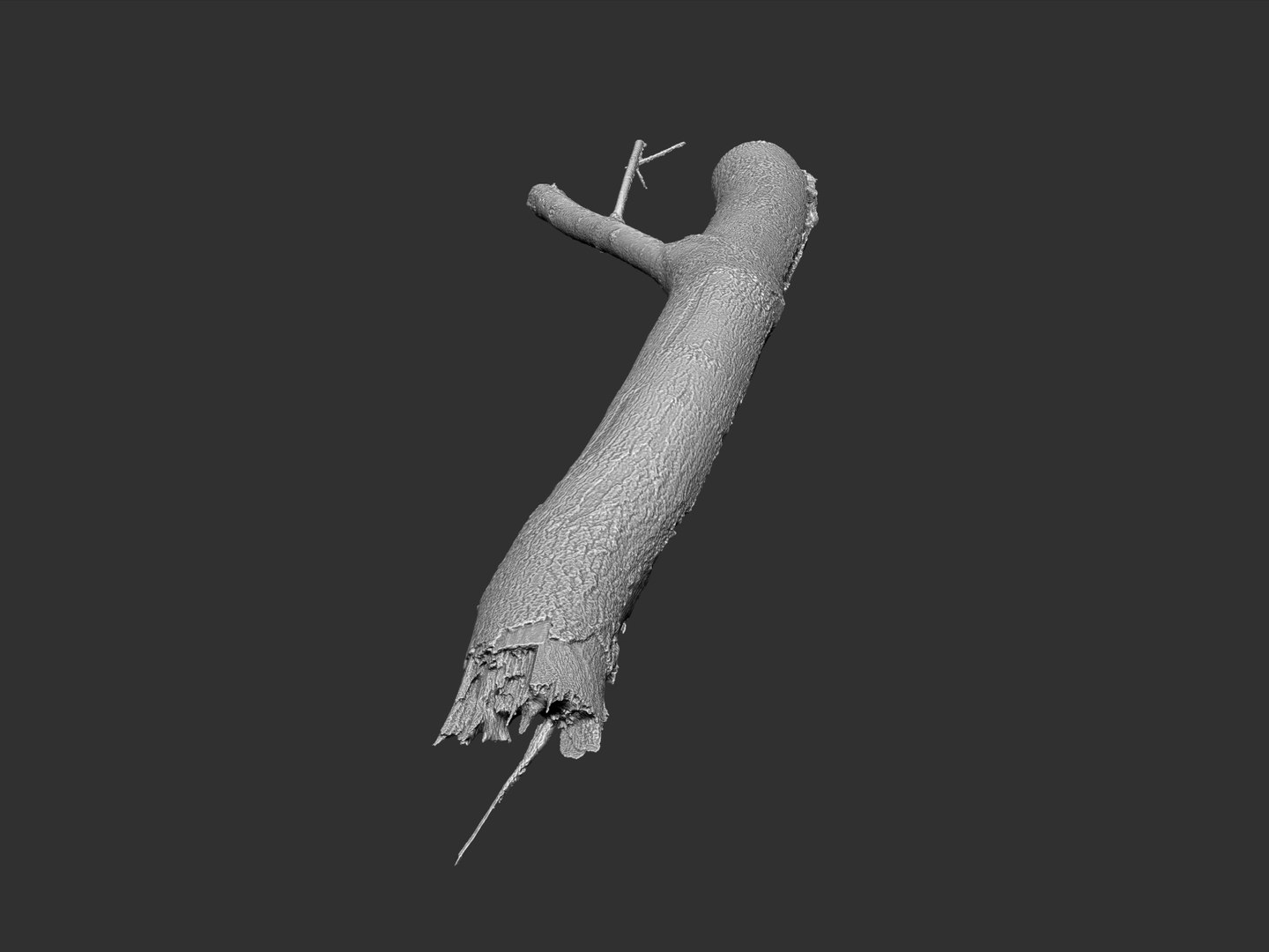 3d Model Scanned 8k Branch Broken