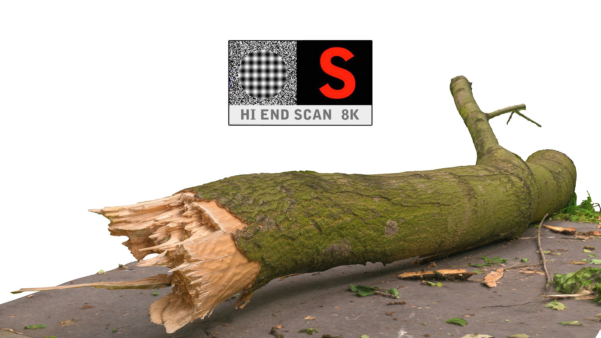 3d Model Scanned 8k Branch Broken