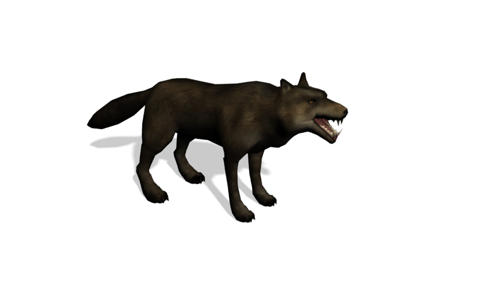 3d Wolf Animations Model