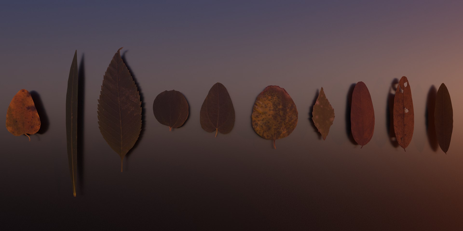Pack 10 leaves model - TurboSquid 1653322