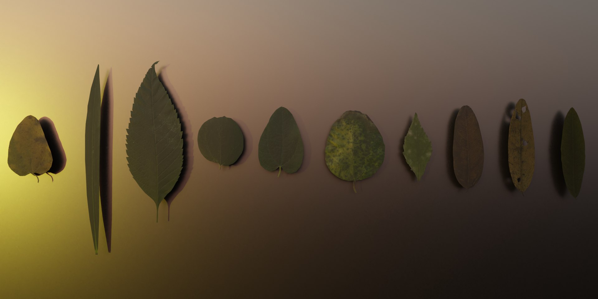 Pack 10 leaves model - TurboSquid 1653322