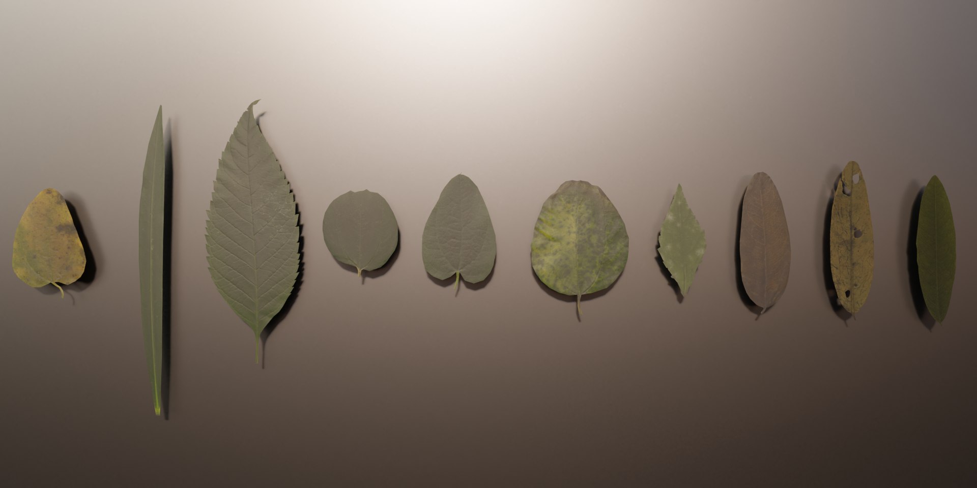 Pack 10 leaves model - TurboSquid 1653322