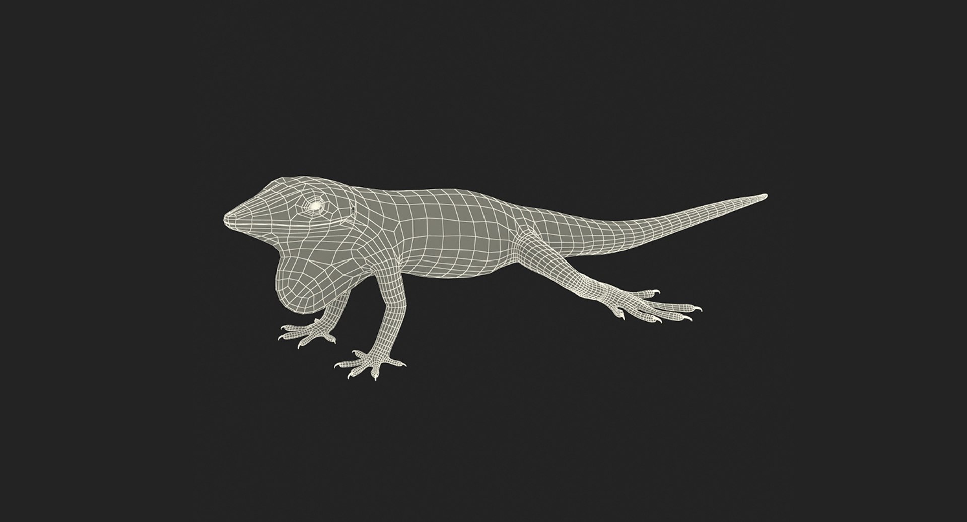 3D Rigged Lizards Collection 3 - TurboSquid 1984564