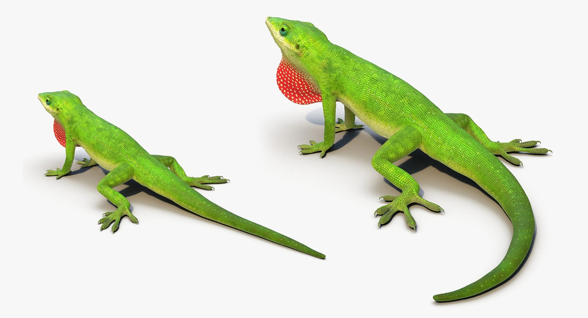 3D Rigged Lizards Collection 3 - TurboSquid 1984564