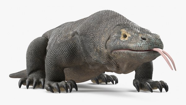 modelo 3d Rigged Lizards Collection 3 - TurboSquid 1984564