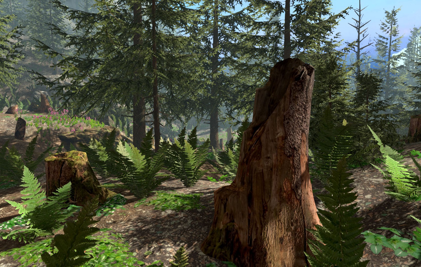 10 Photo-scanned Conifer Stumps 3D Model - TurboSquid 1818887