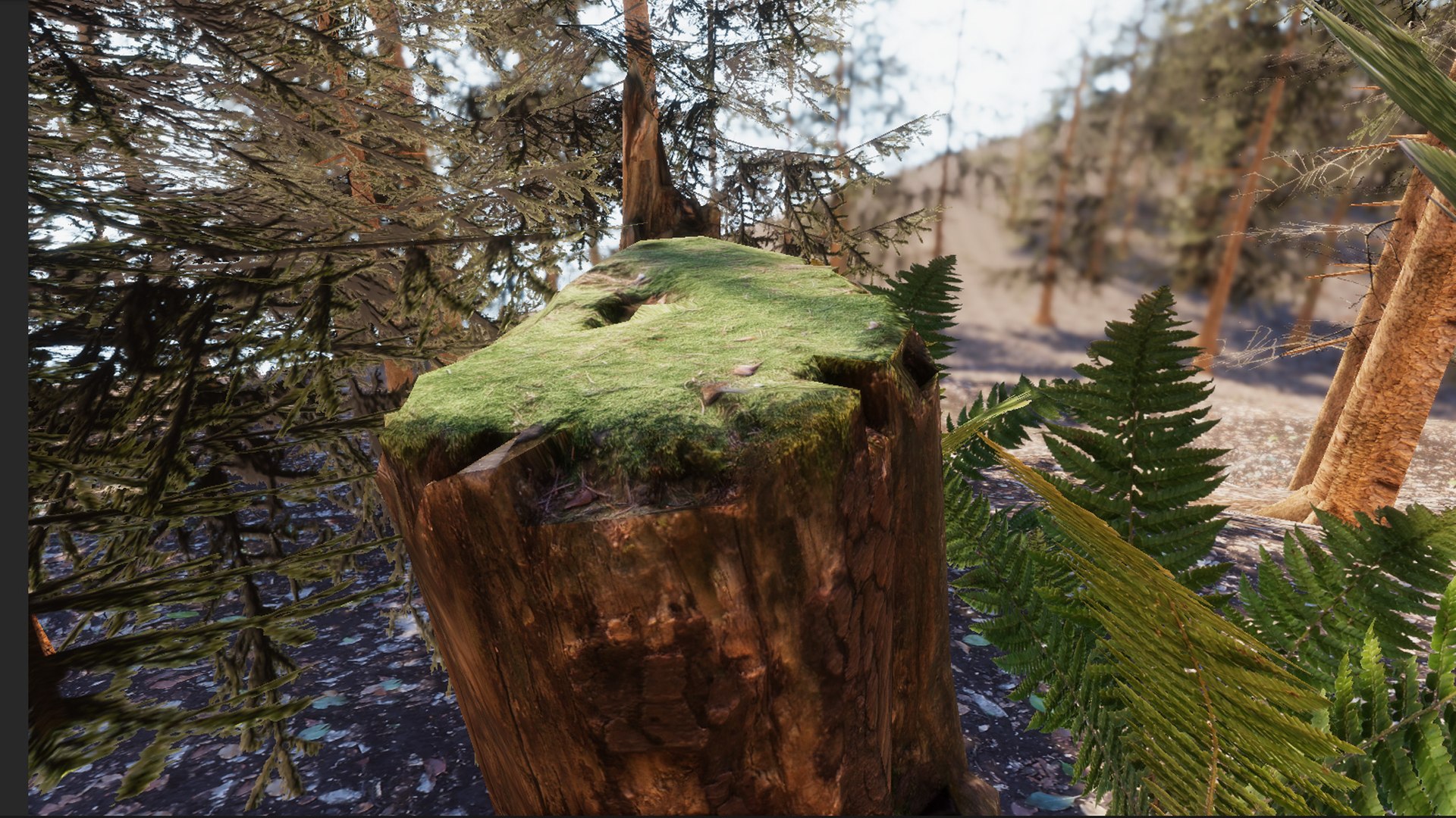 10 Photo-scanned Conifer Stumps 3D Model - TurboSquid 1818887