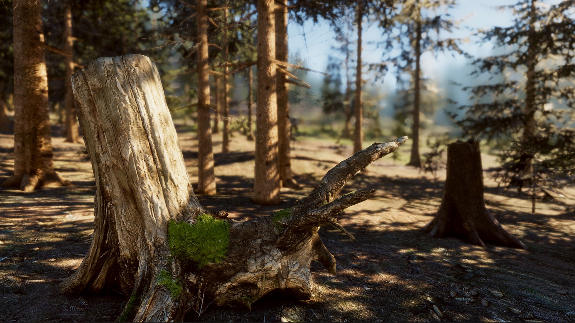 10 Photo-scanned Conifer Stumps 3D Model - TurboSquid 1818887