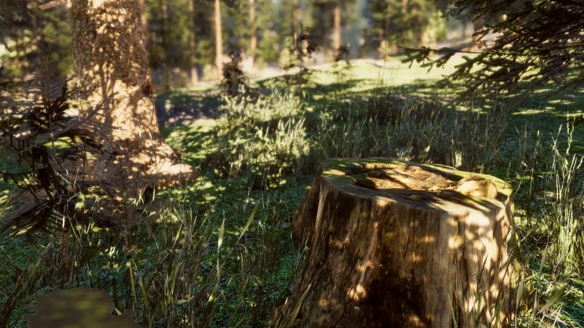 10 Photo-scanned Conifer Stumps 3D Model - TurboSquid 1818887