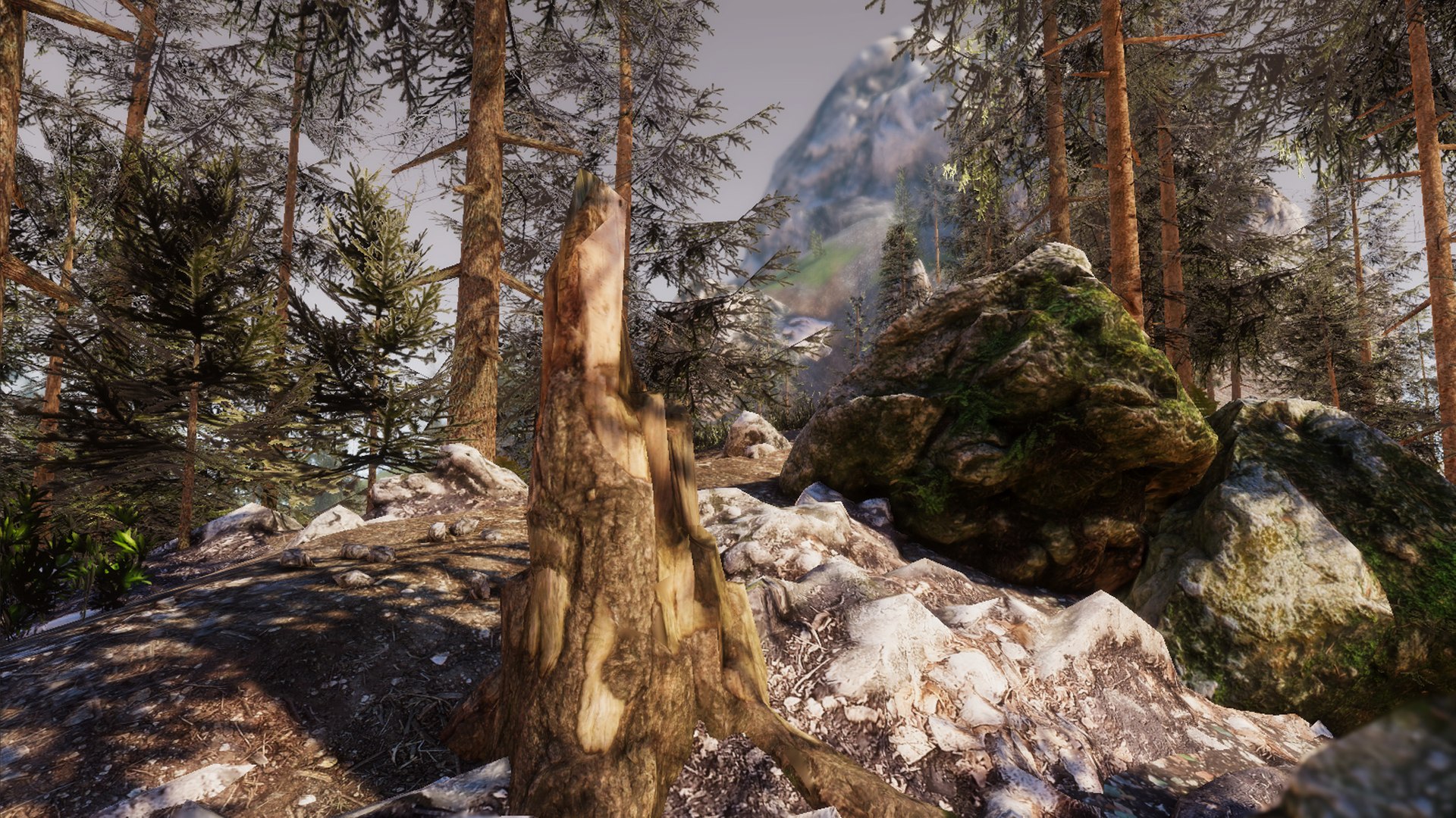 10 Photo-scanned Conifer Stumps 3D Model - TurboSquid 1818887