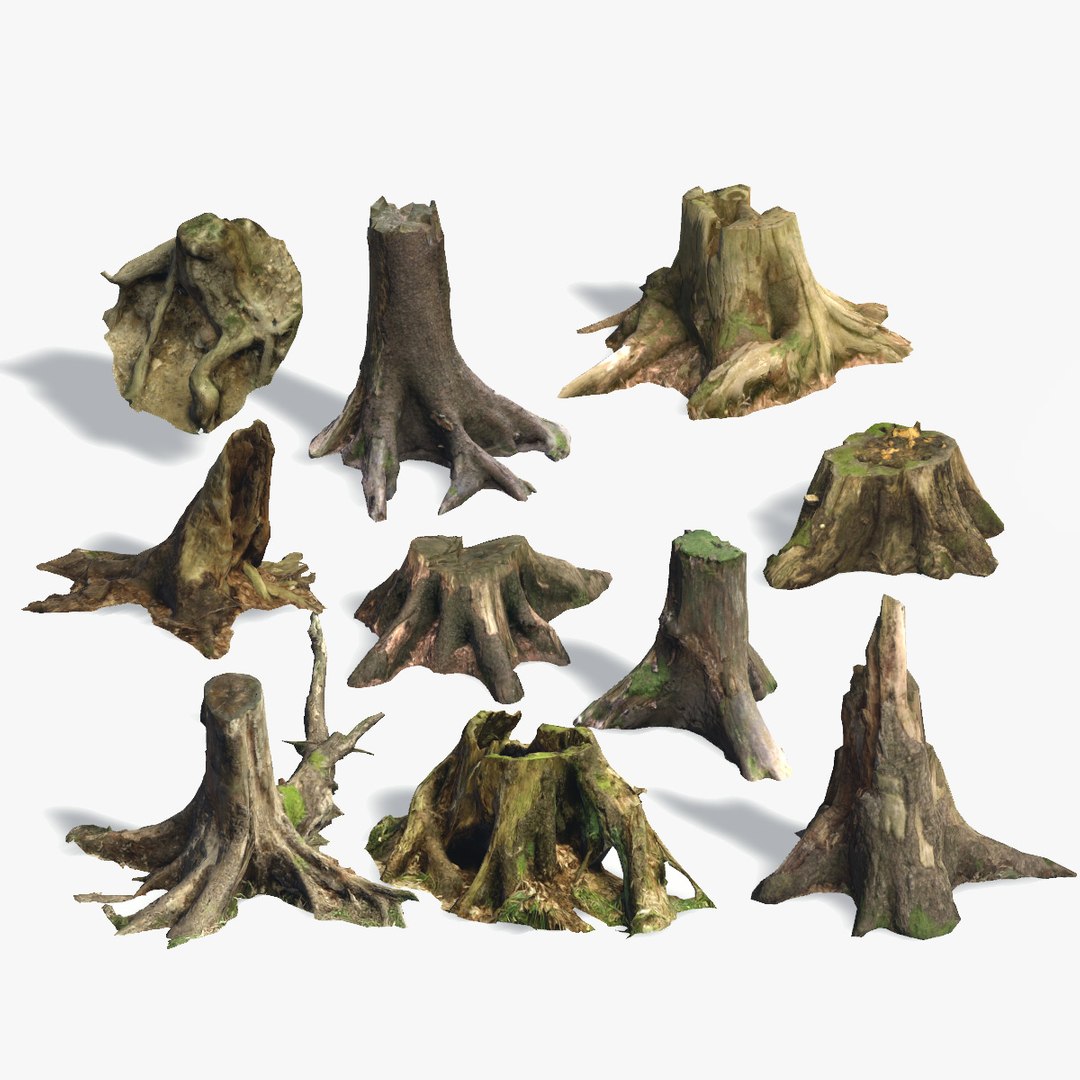 10 Photo-scanned Conifer Stumps 3D Model - TurboSquid 1818887