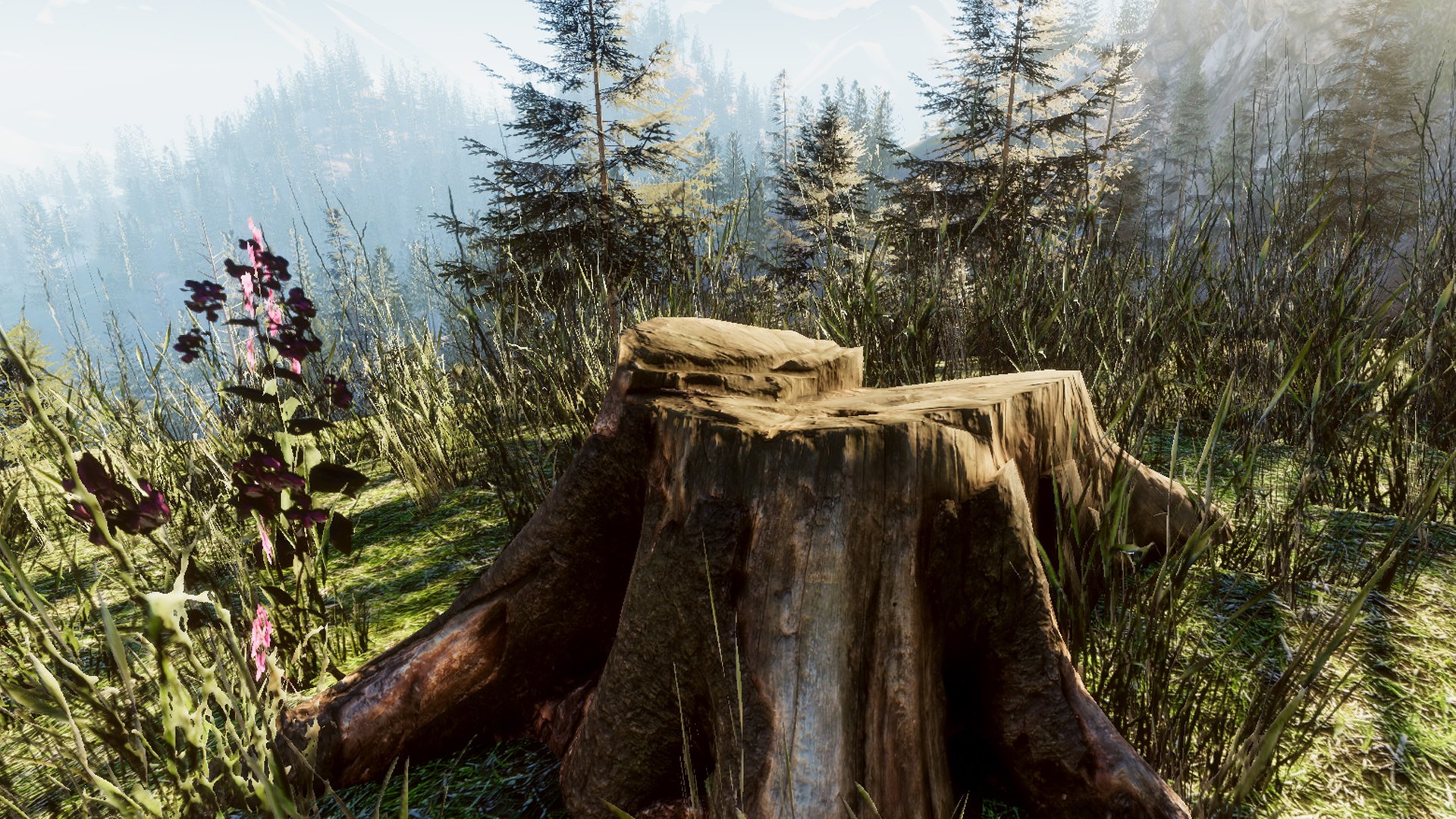 10 Photo-scanned Conifer Stumps 3D Model - TurboSquid 1818887