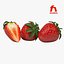 Max Strawberry Fruit