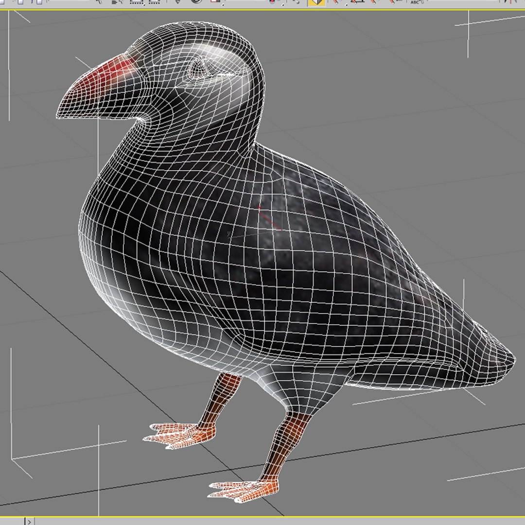 3dsmax Puffin