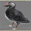 3dsmax Puffin