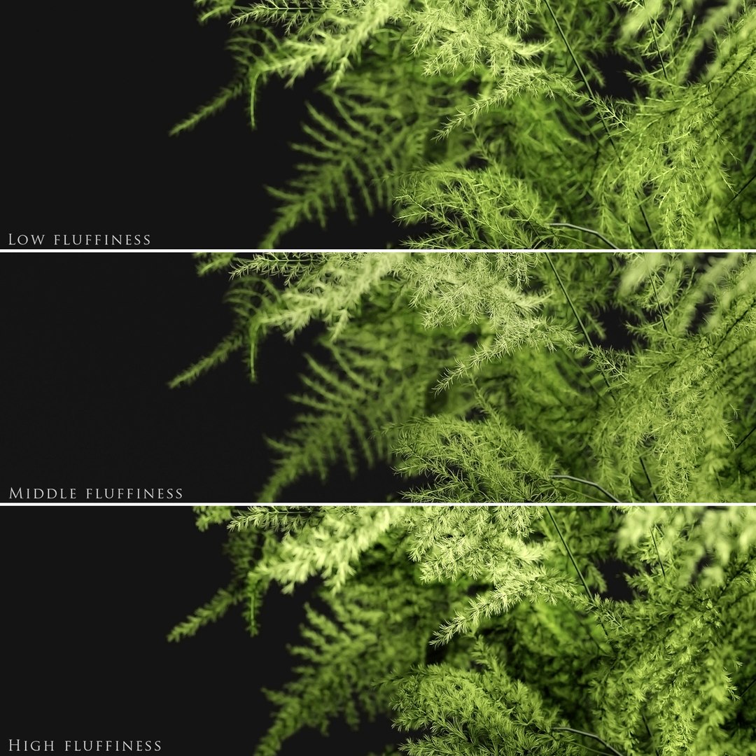 Massless 3D Model - TurboSquid 1991377