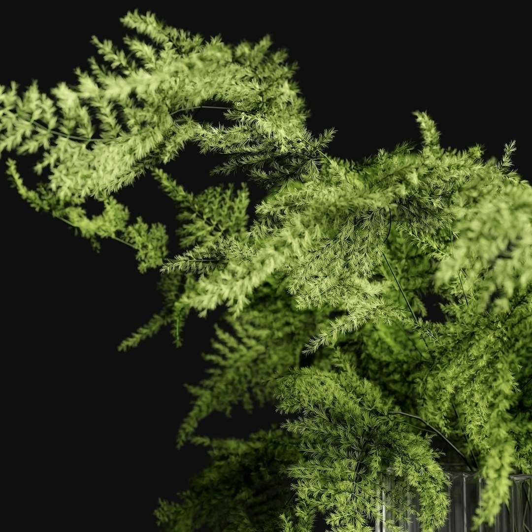 Massless 3D Model - TurboSquid 1991377