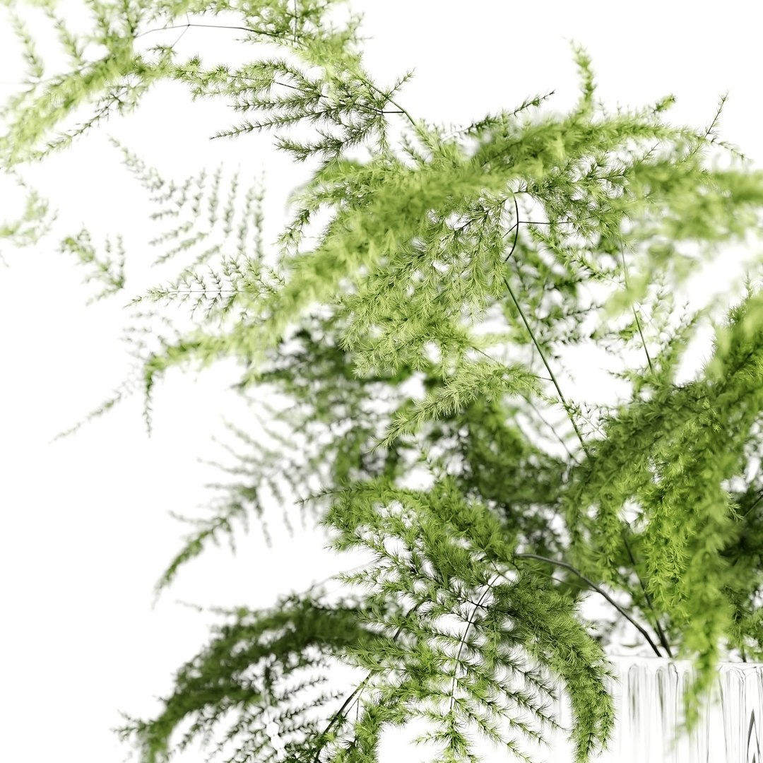 Massless 3D Model - TurboSquid 1991377