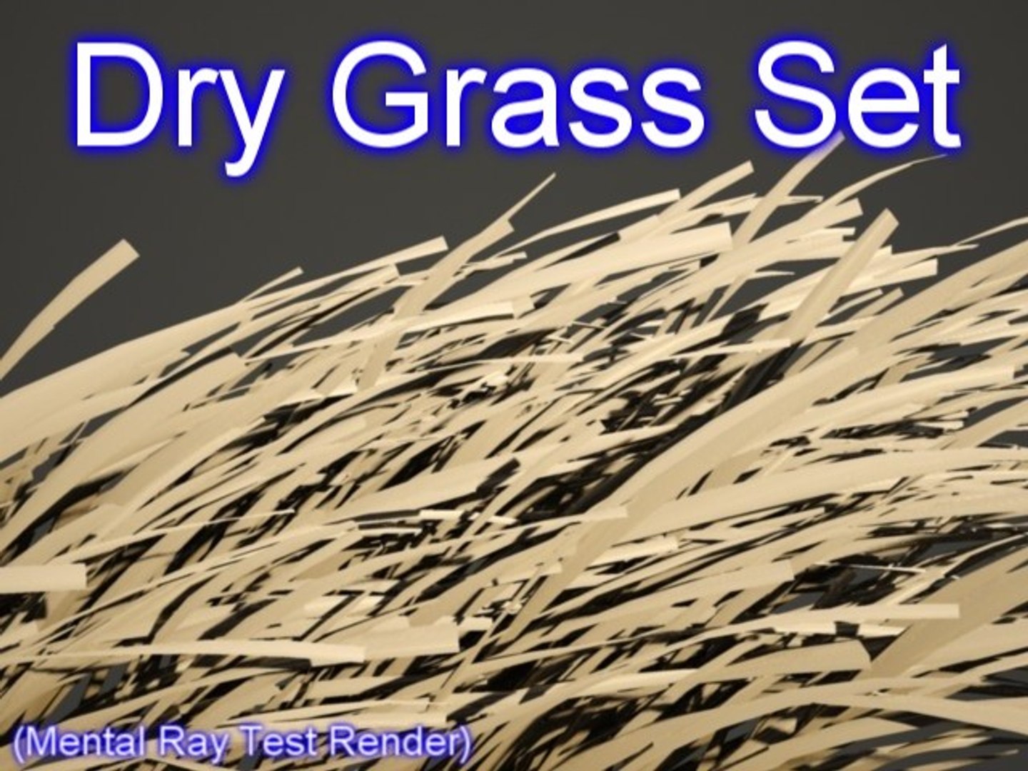 3d model set dry grasses