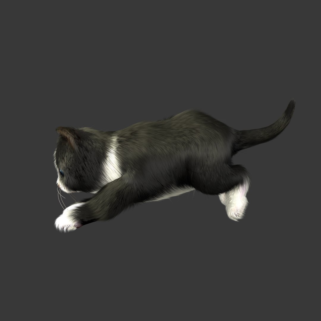 Kitten Fur Rig Max