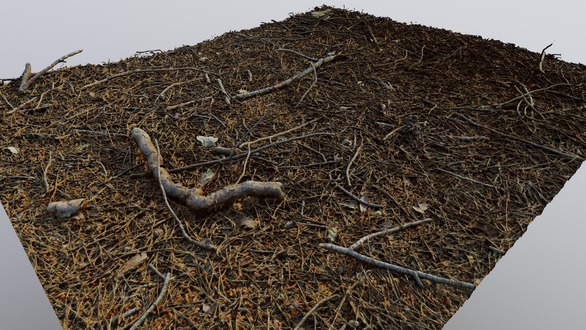 3D Forestground01 Model - TurboSquid 1914754