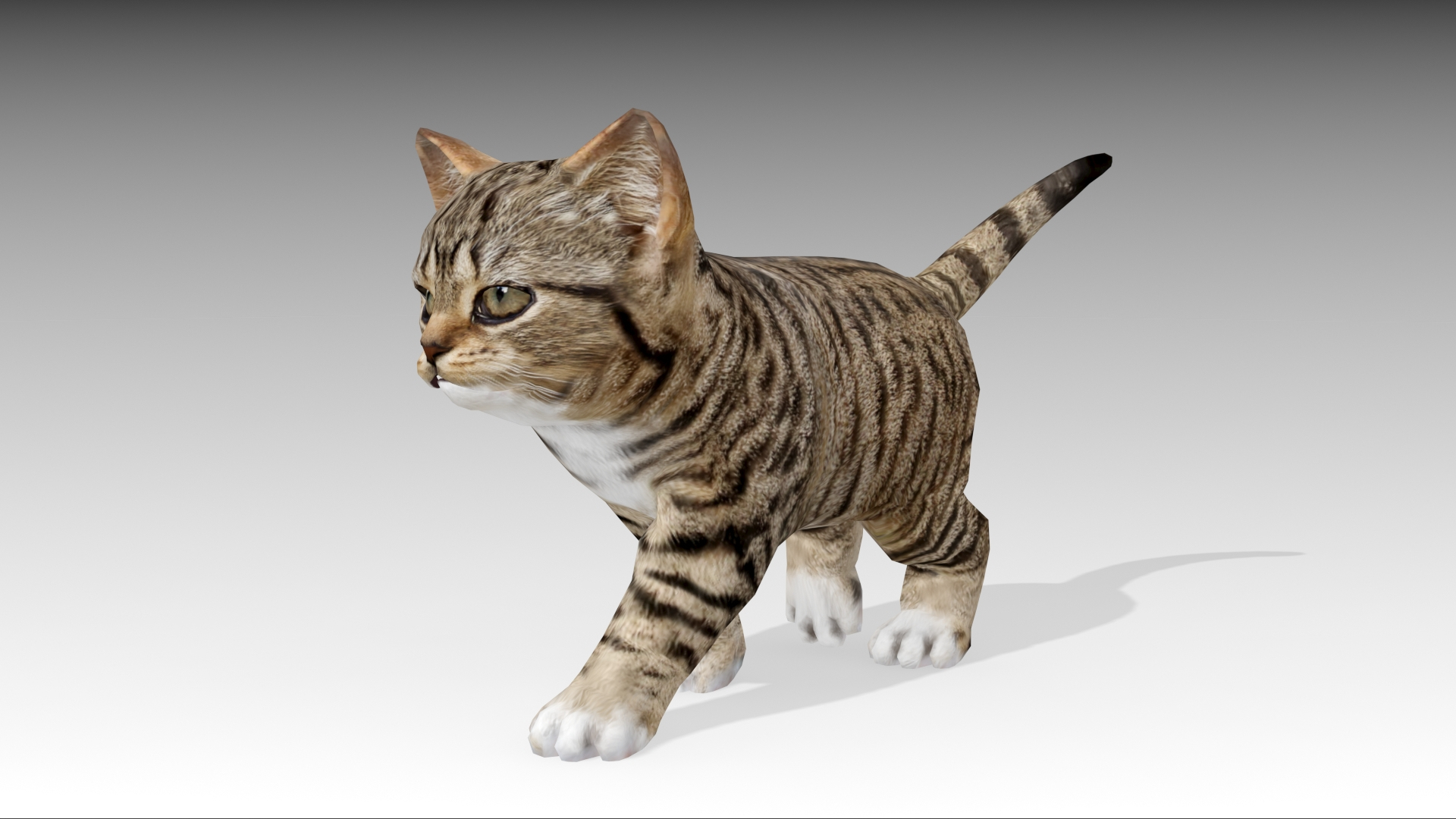 Kitten 3D - TurboSquid 1738690