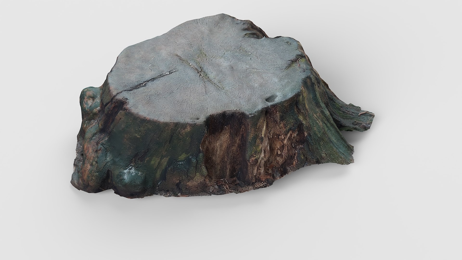 Tree Stump 35 Pbr 3D Model - TurboSquid 2178766