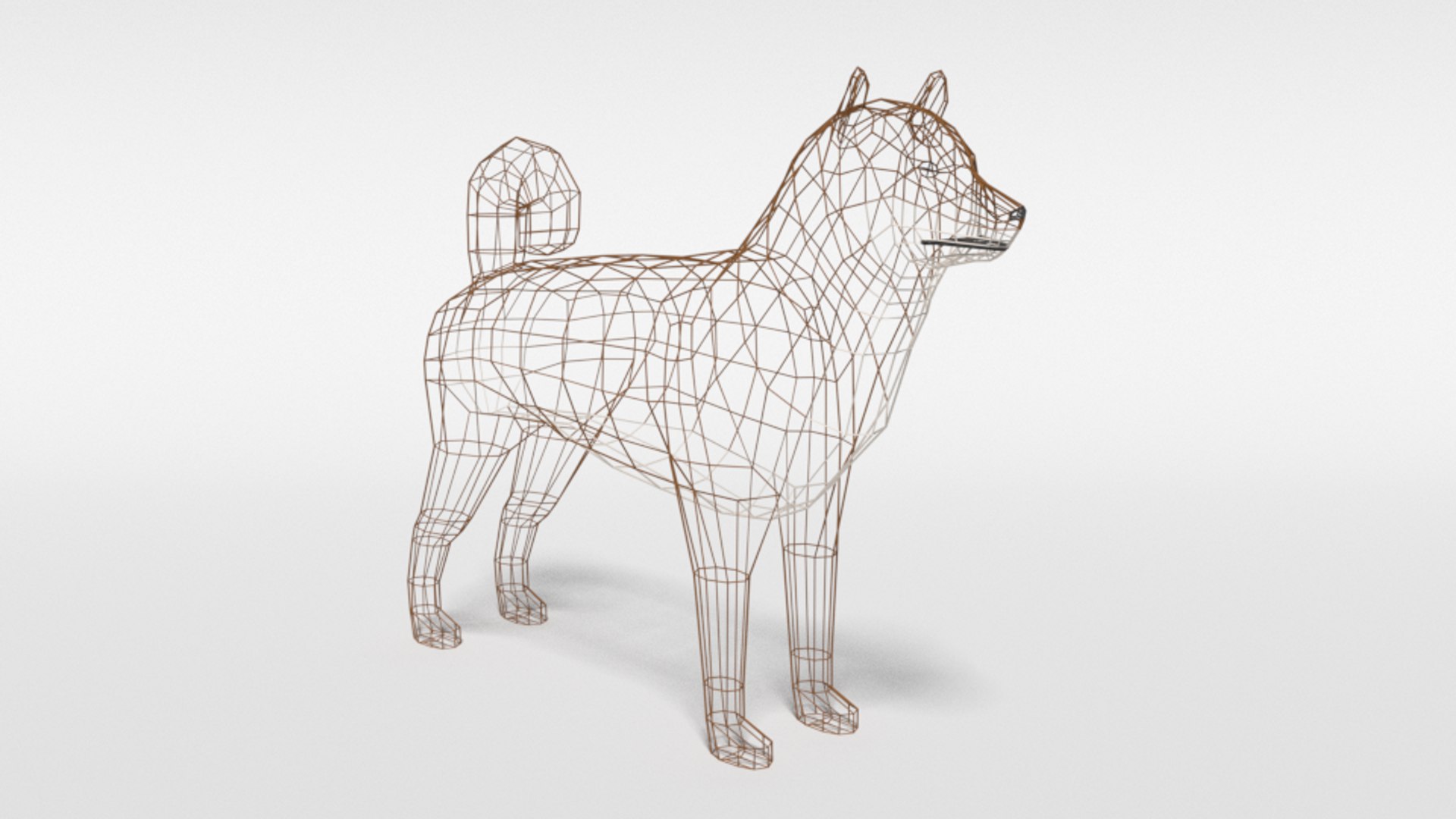 3D Shiba Inu Dog Model - TurboSquid 1529792