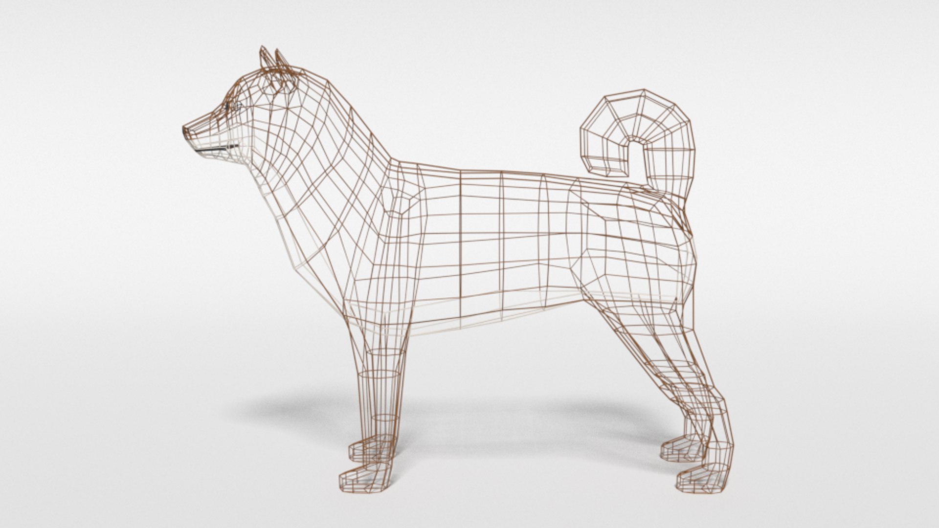 3D Shiba Inu Dog Model - TurboSquid 1529792