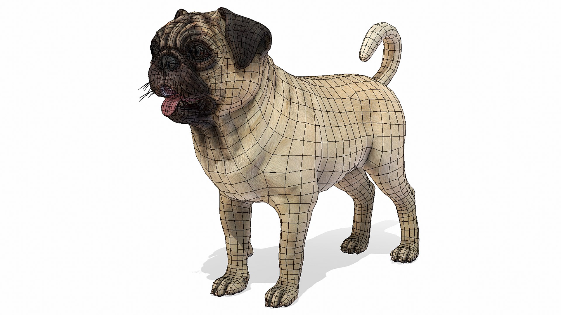 3D Dog - Pug - TurboSquid 1933714