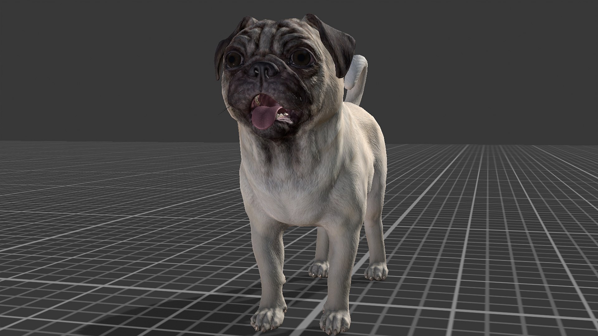 3D Dog - Pug - TurboSquid 1933714