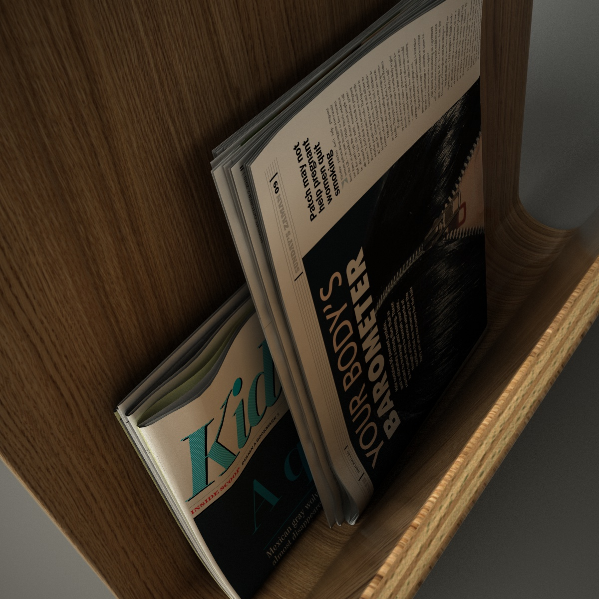 3ds magazine rack