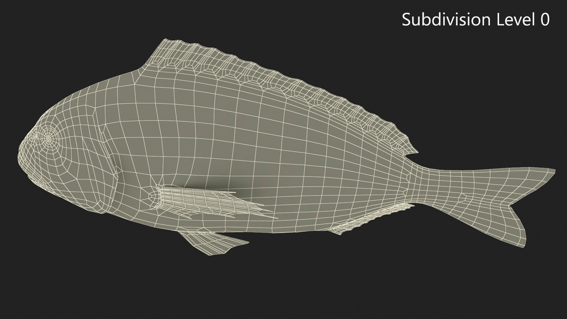 3D Sparus Aurata - TurboSquid 2163636