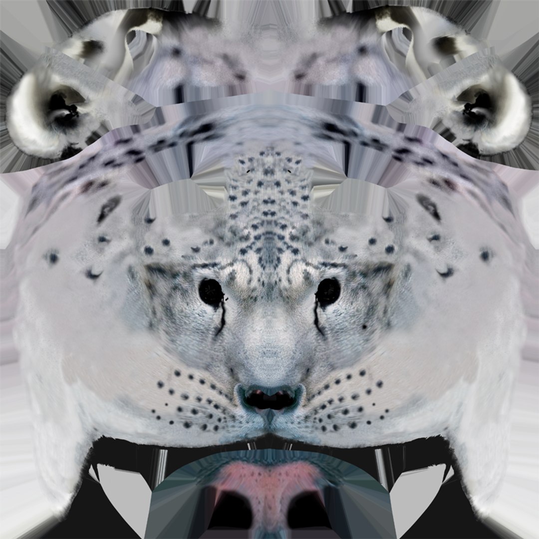 Snow Leopard 3D Model - TurboSquid 2224613