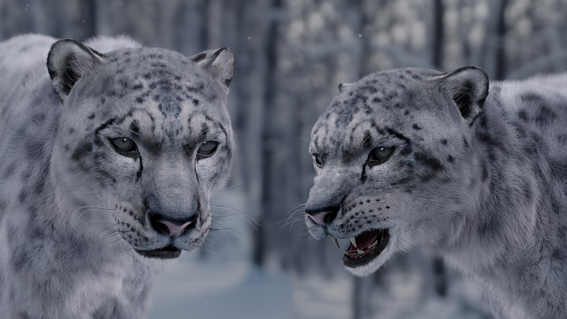 Snow Leopard 3D Model - TurboSquid 2224613