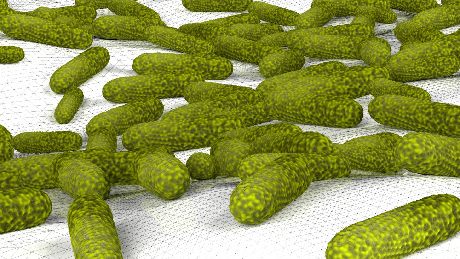 3D model bacteria pack - TurboSquid 1334243