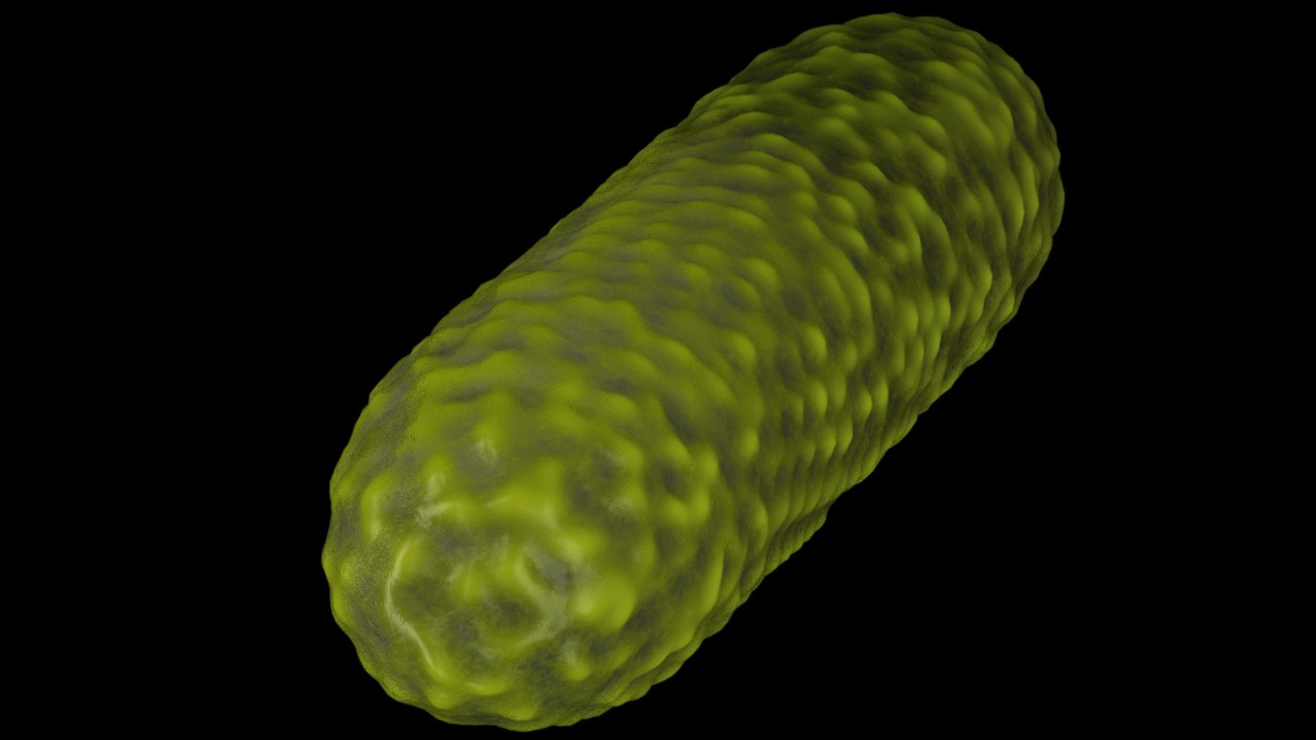 3D model bacteria pack - TurboSquid 1334243