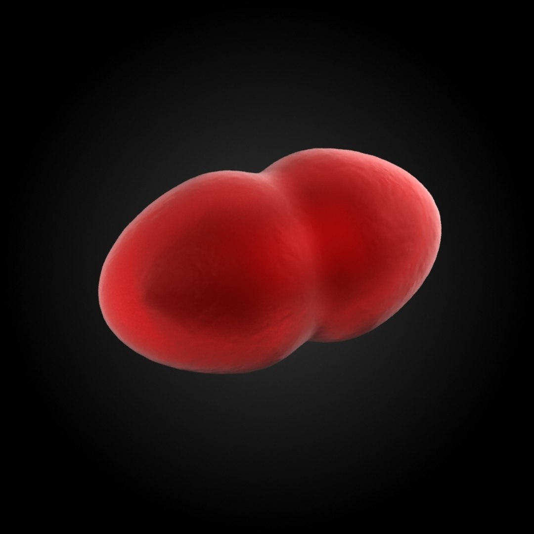 3ds max microbes micro organisms