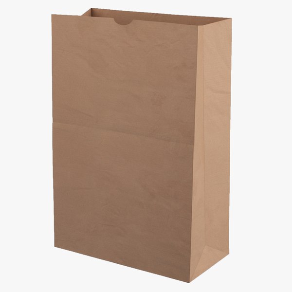 Paper Bag Mask model - TurboSquid 1724806