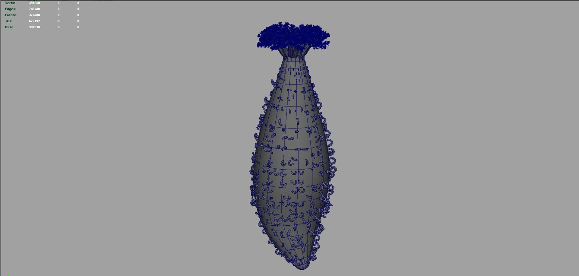 3d Semele Thyone Model